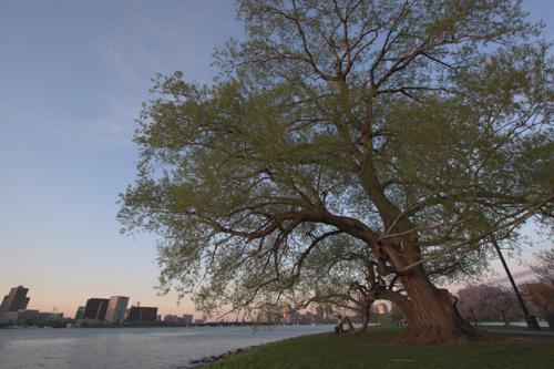 Image Recoloring Based on Object Color Distributions