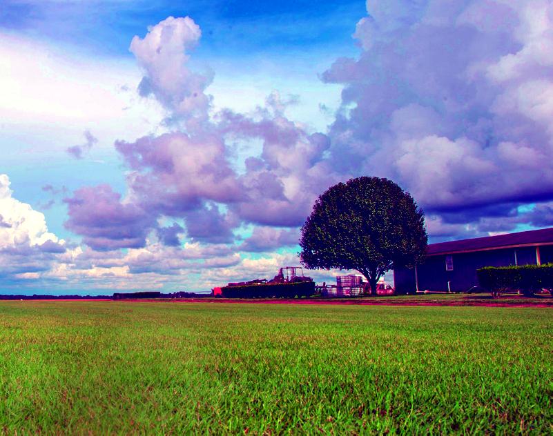 Image Recoloring Based on Object Color Distributions