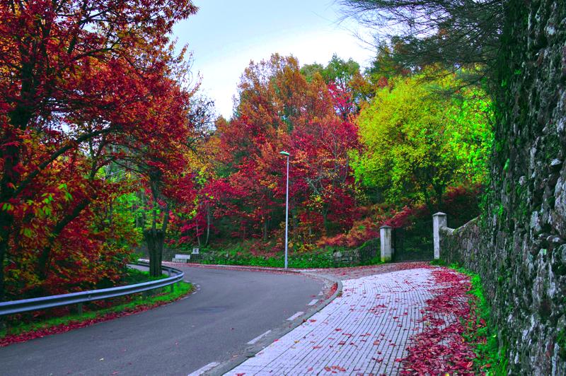 Image Recoloring Based on Object Color Distributions