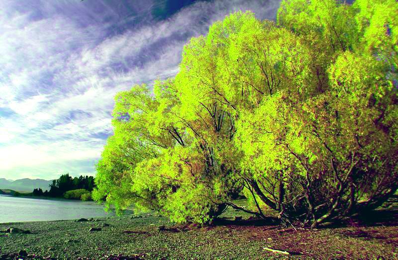 Image Recoloring Based on Object Color Distributions