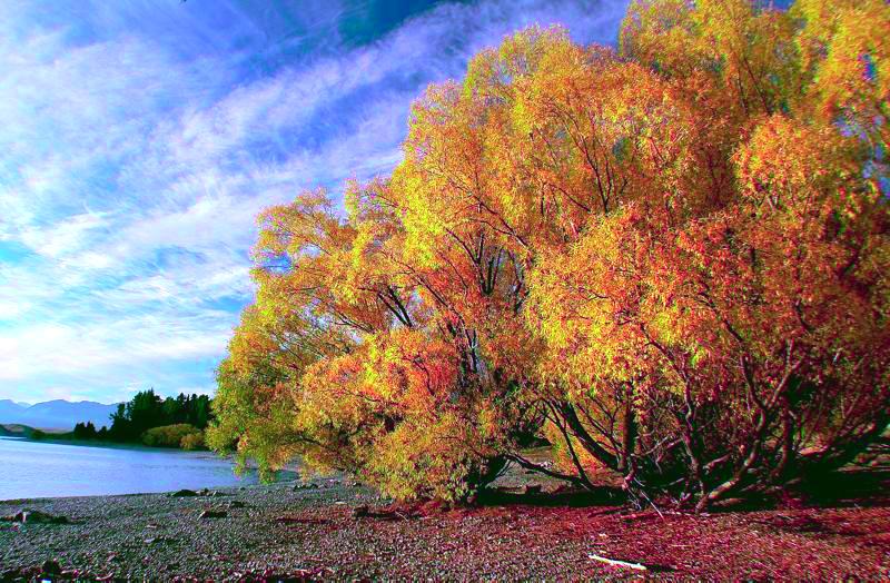 Image Recoloring Based on Object Color Distributions