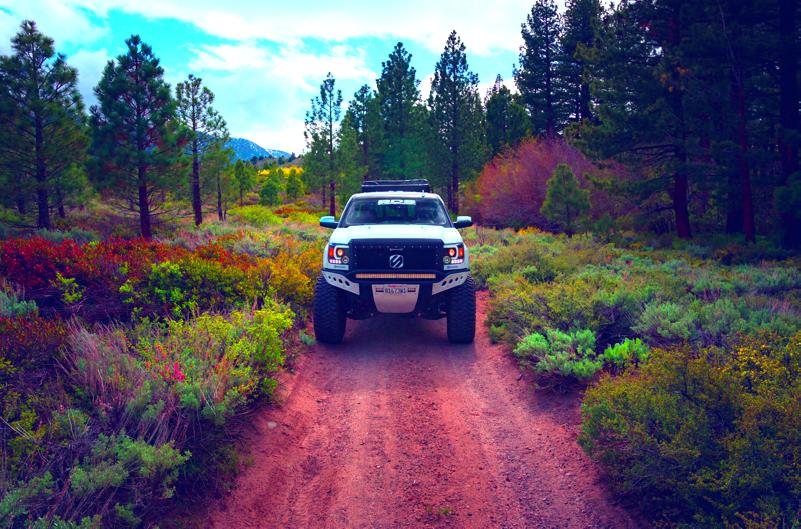 Image Recoloring Based on Object Color Distributions