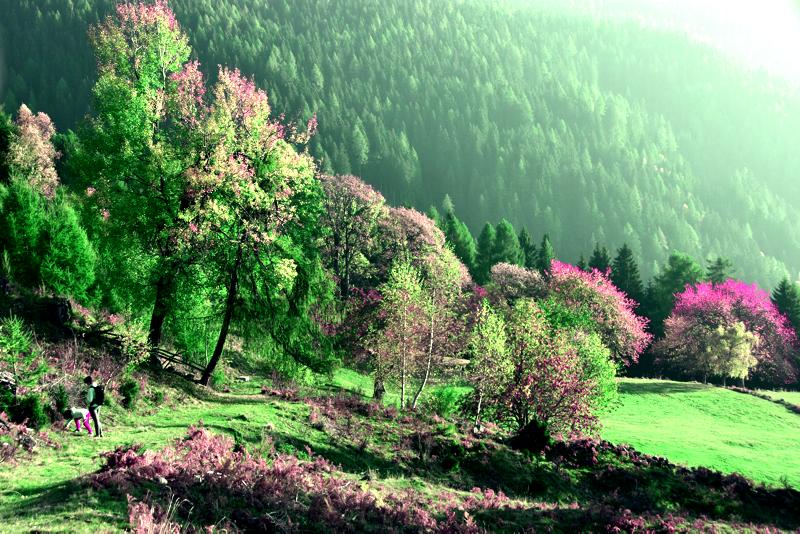 Image Recoloring Based on Object Color Distributions