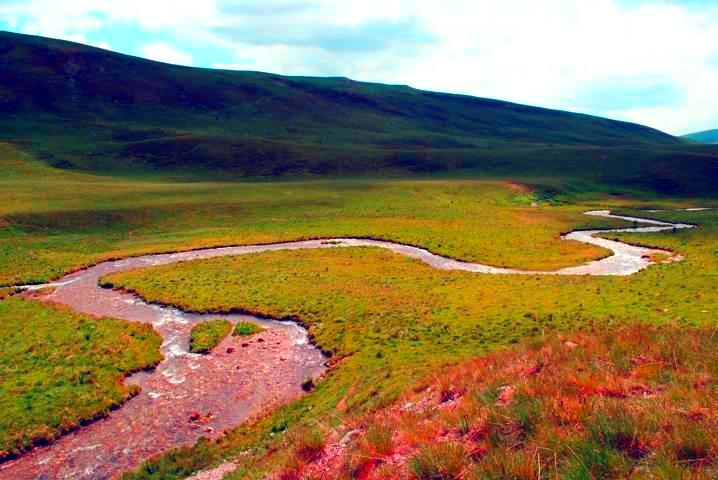 Image Recoloring Based on Object Color Distributions